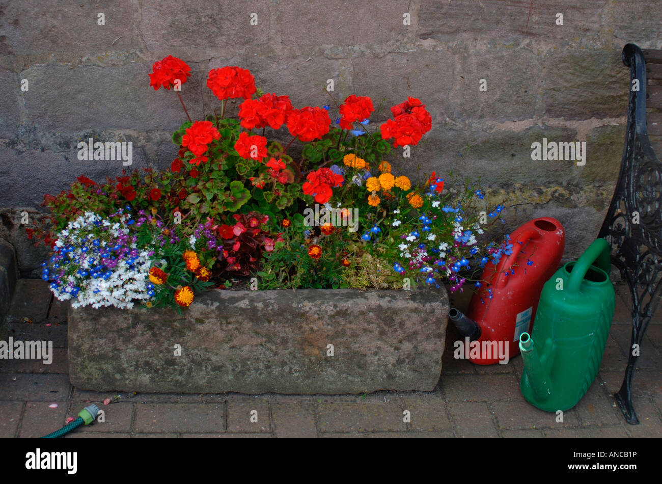 A Colourful Assortment Of Flowers In A Concrete Flowerbox Stock Photo ...