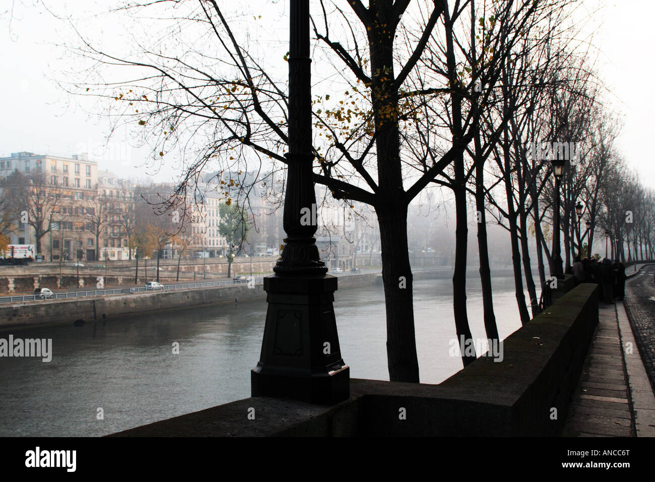 The left bank of the River Seine in Paris France Stock Photo - Alamy