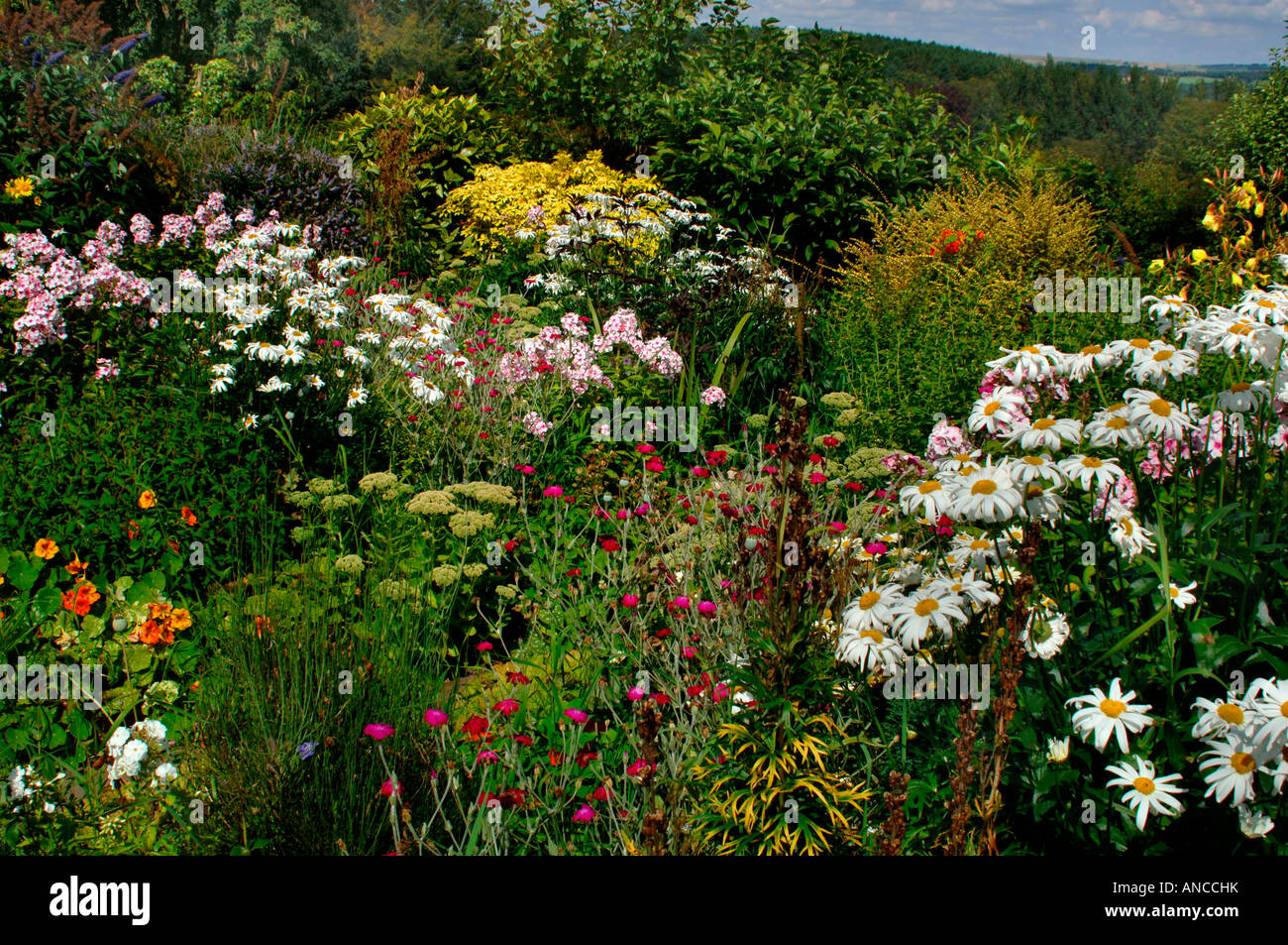 A Colourful Display Of Flowers,In An English Country Garden Stock Photo ...