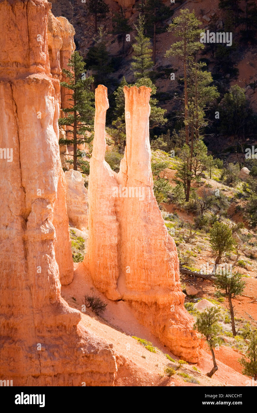 Utah, Bryce Canyon NP, Fairyland from Fairyland Loop Trail Stock Photo ...