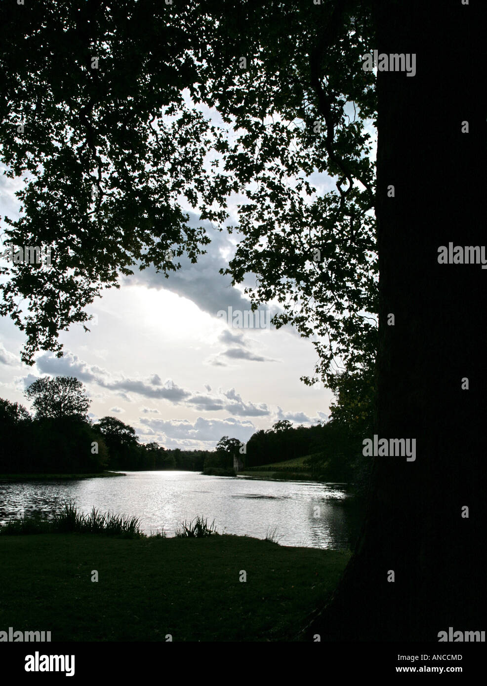 Lake in Painshill park, surrey Stock Photo - Alamy
