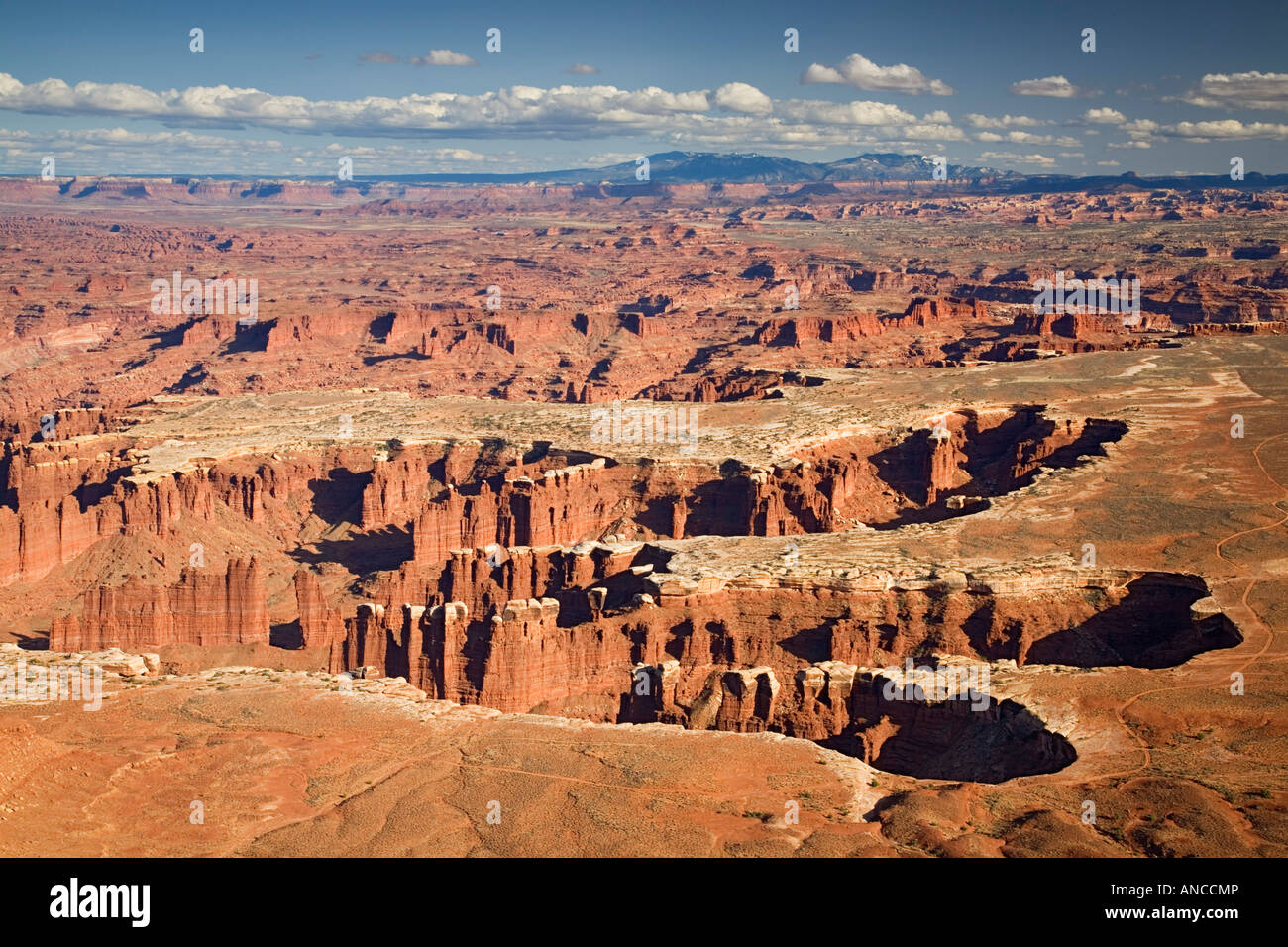 Utah, Canyonlands NP, Island in the Sky, View from Grand View Point ...