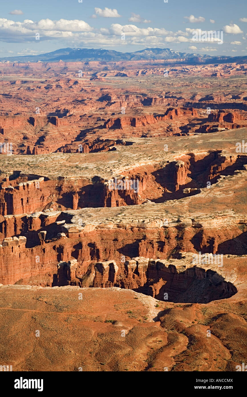 Utah, Canyonlands NP, Island in the Sky, View from Grand View Point ...