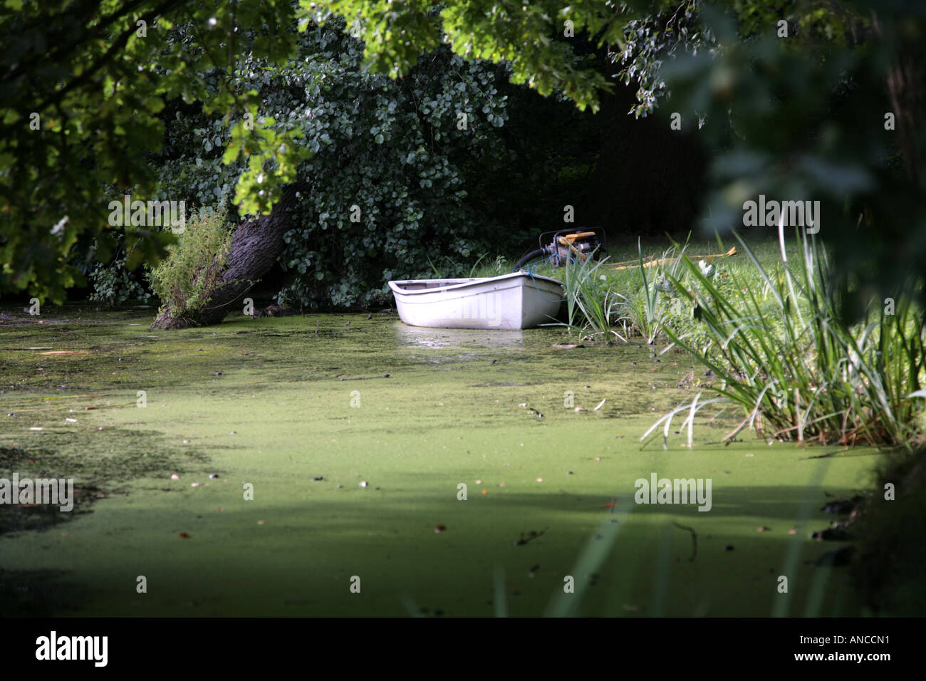 Moored rowing boat hi-res stock photography and images - Alamy