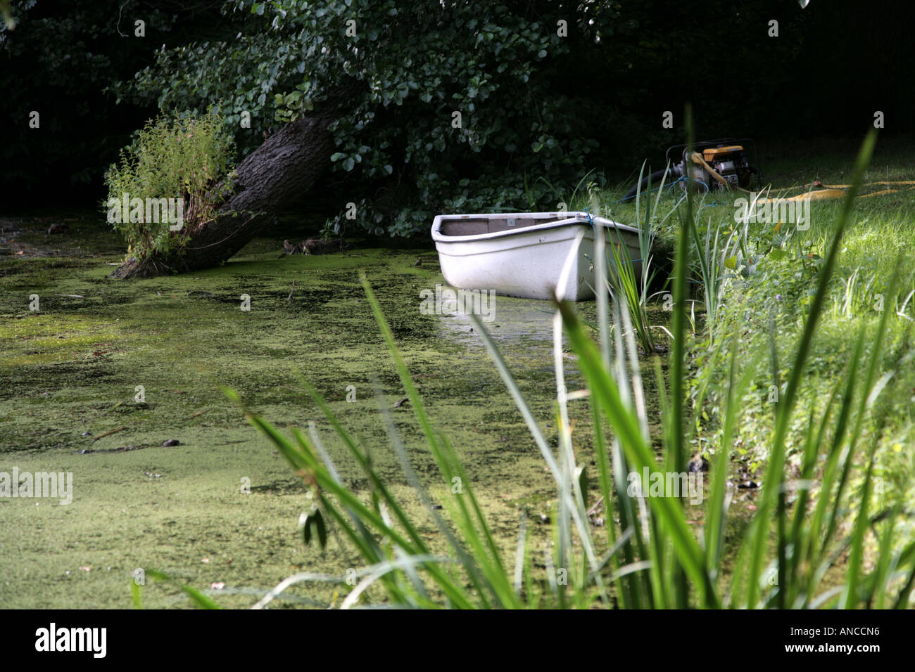 Moored rowing boat hi-res stock photography and images - Alamy