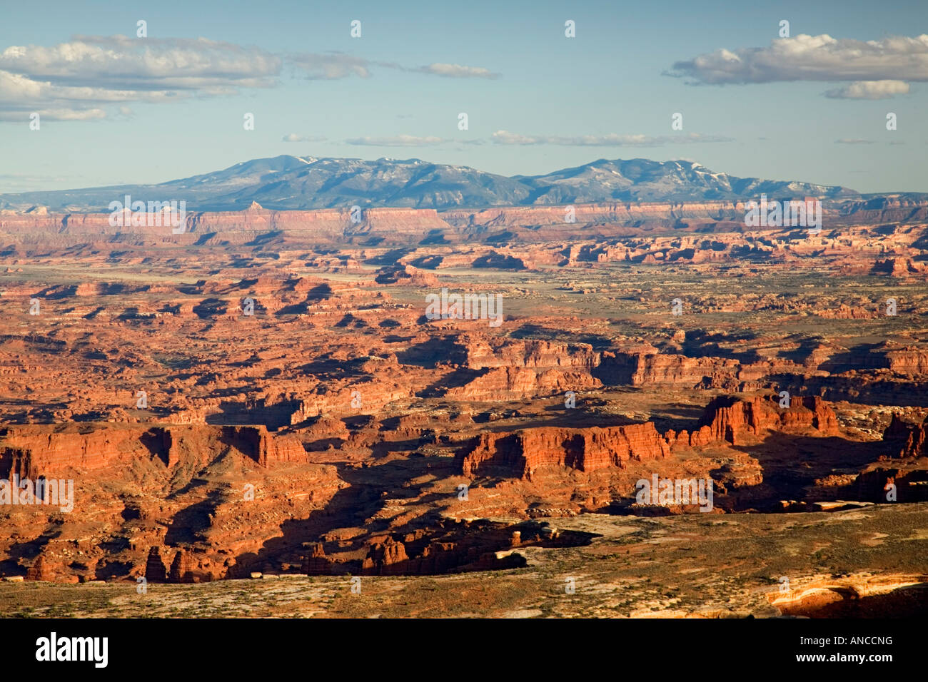 Utah, Canyonlands NP, Island in the Sky, View from Grand View Point ...