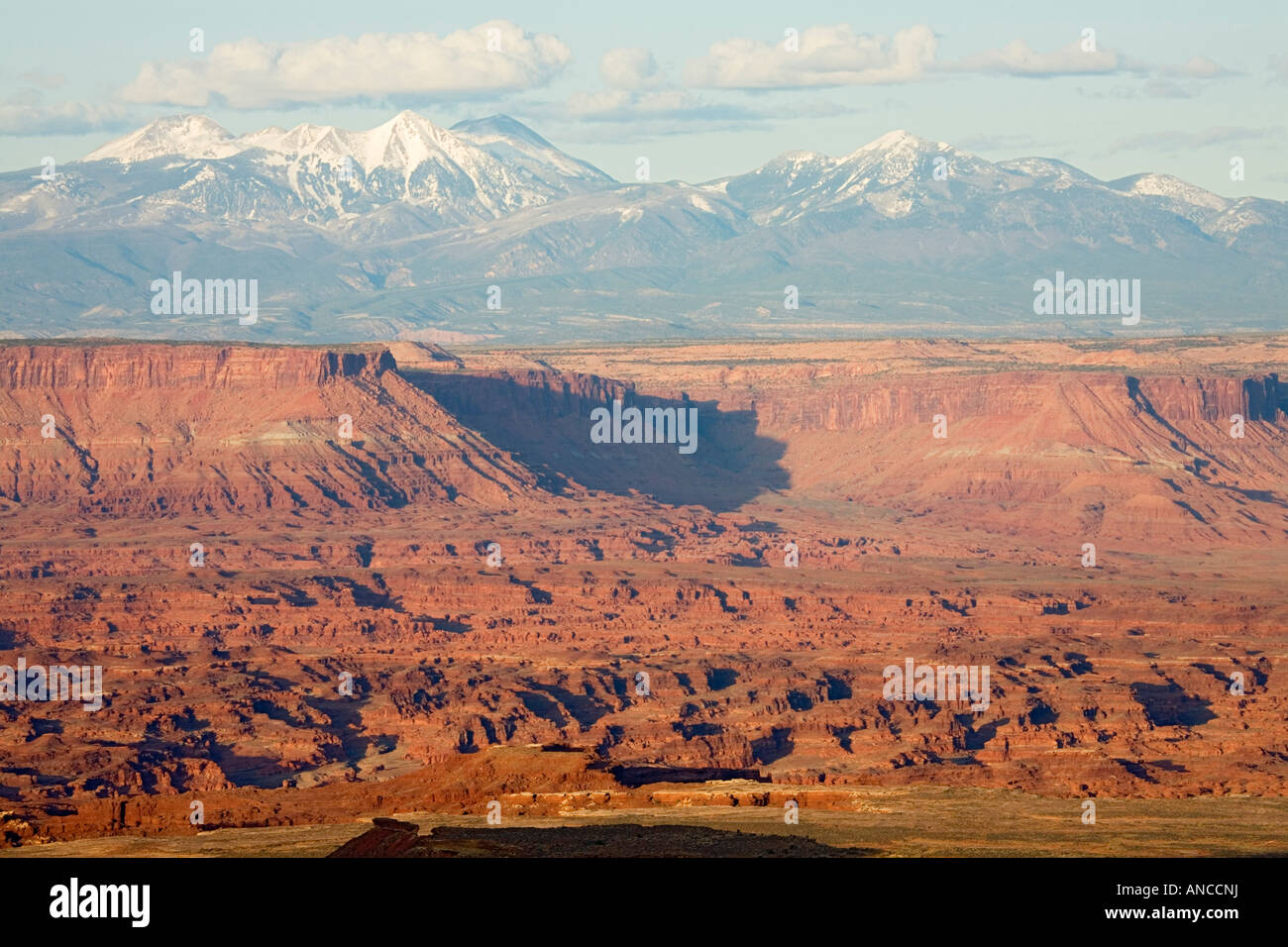 Utah, Canyonlands NP, Island in the Sky, View from Grand View Point ...