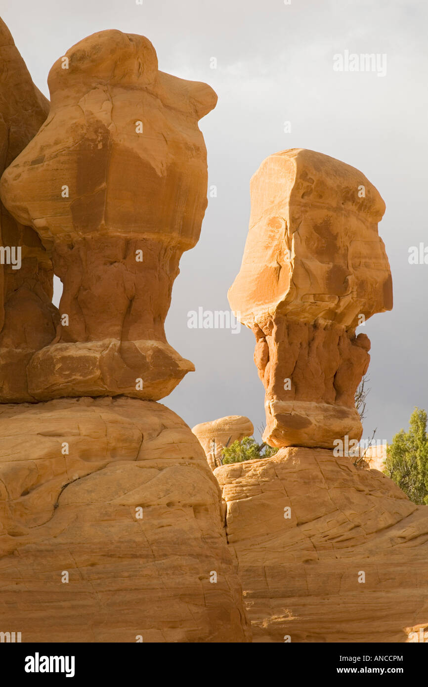Utah, Grand Staircase Escalante NM, Sandstone Hoodoos of Devils Garden ...