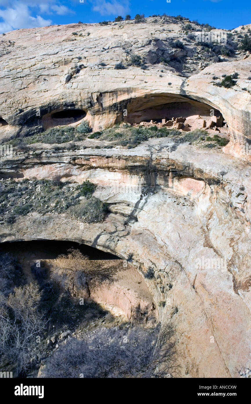 USA, Utah, Butler Wash. View of the Anasazi Ruins at Butler Wash, Utah ...
