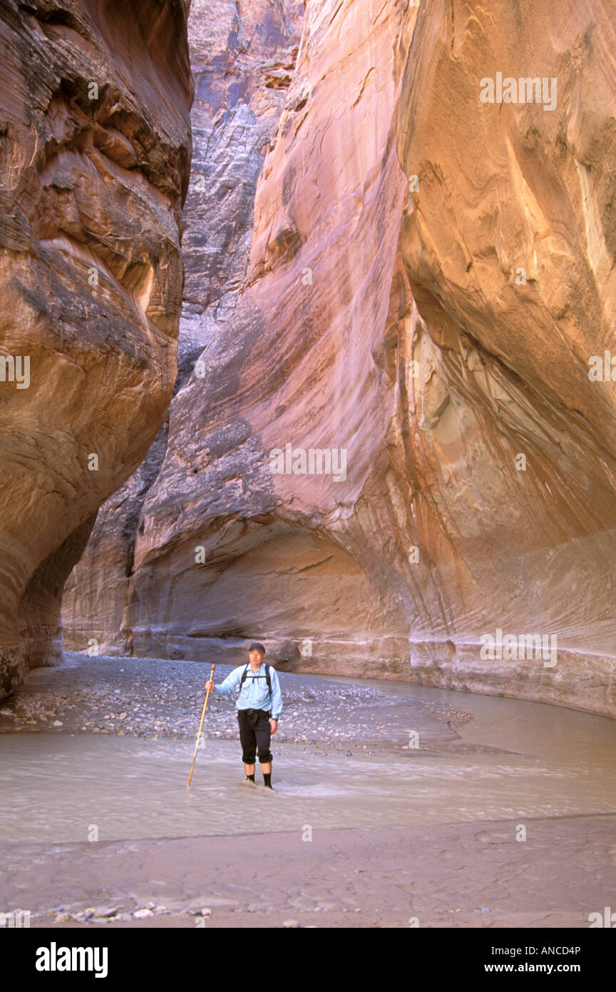 North America, USA, Utah, Vermillion Cliffs Wilderness, Paria Canyon ...