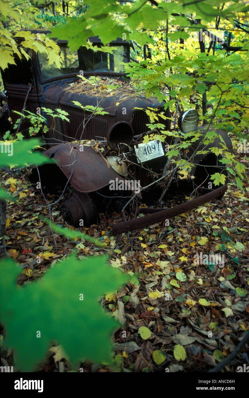 Rusty antique Ford hidden in the back woods of Vermont Stock Photo - Alamy