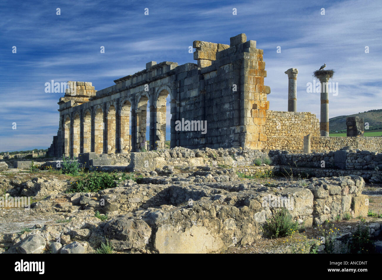 Roman Basilica ruins at Volubilis Morocco Stock Photo - Alamy