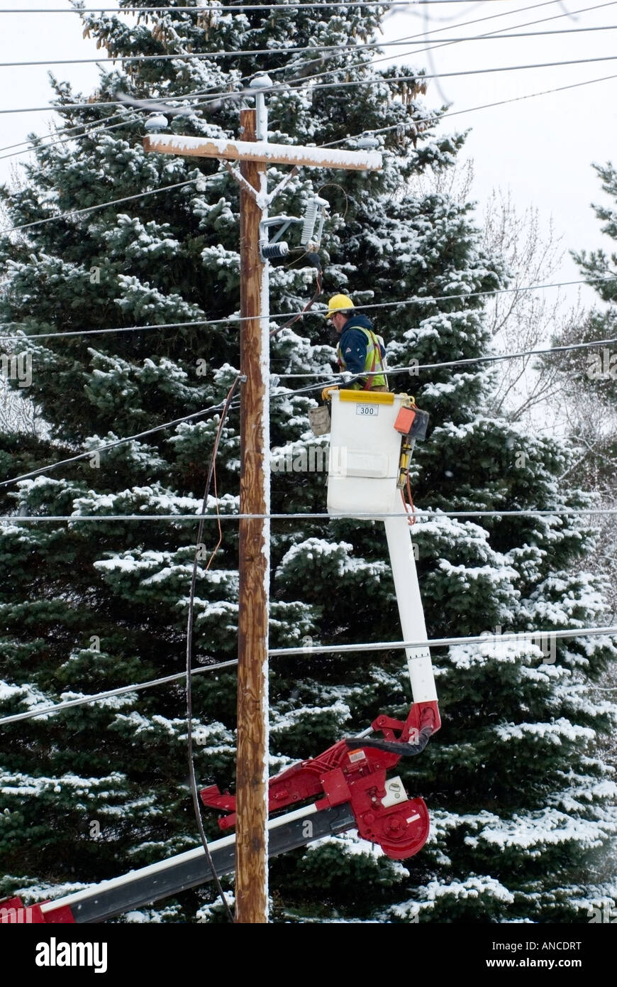 Lineman on utility pole hi-res stock photography and images - Alamy