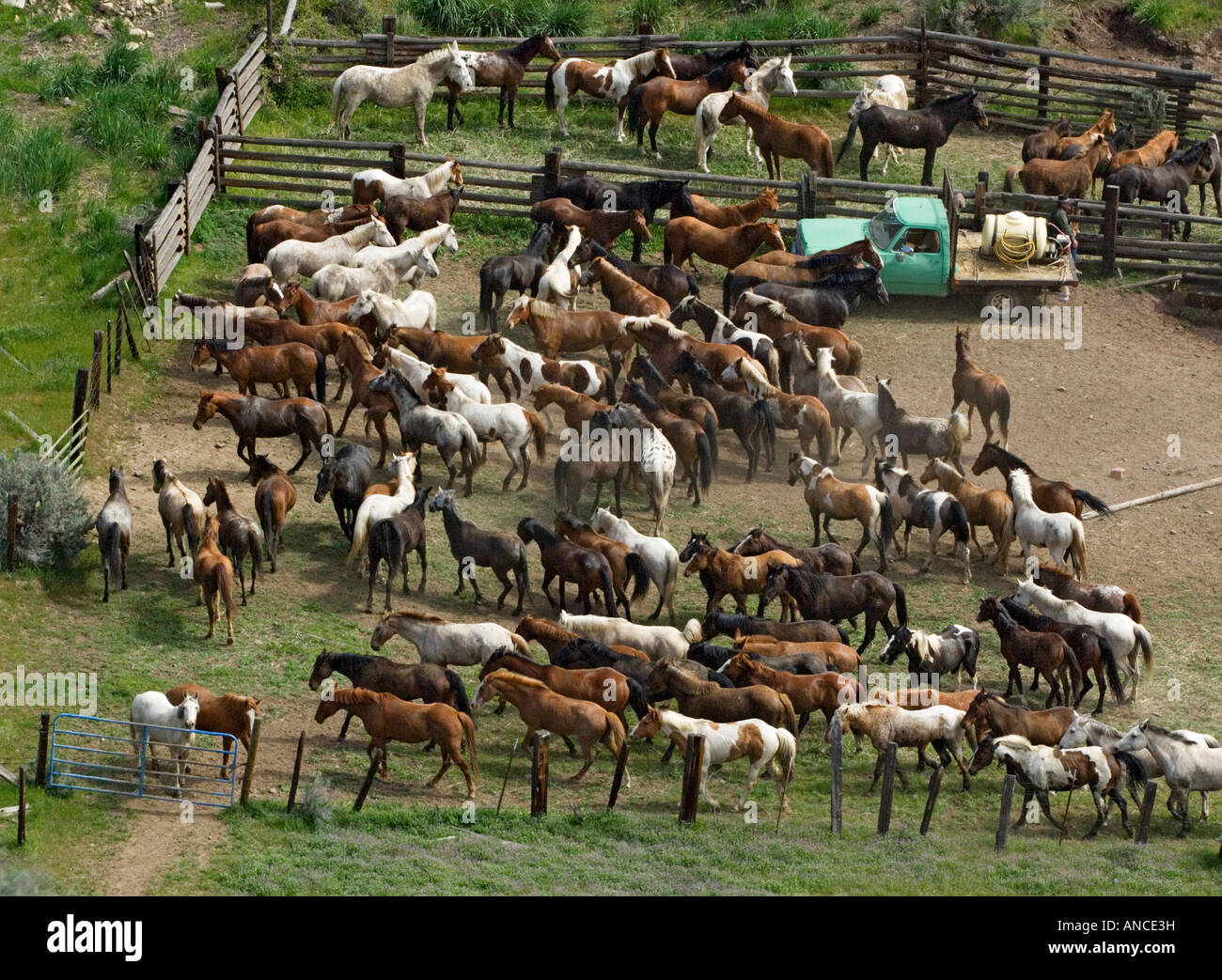 Roundup corral hi-res stock photography and images - Alamy