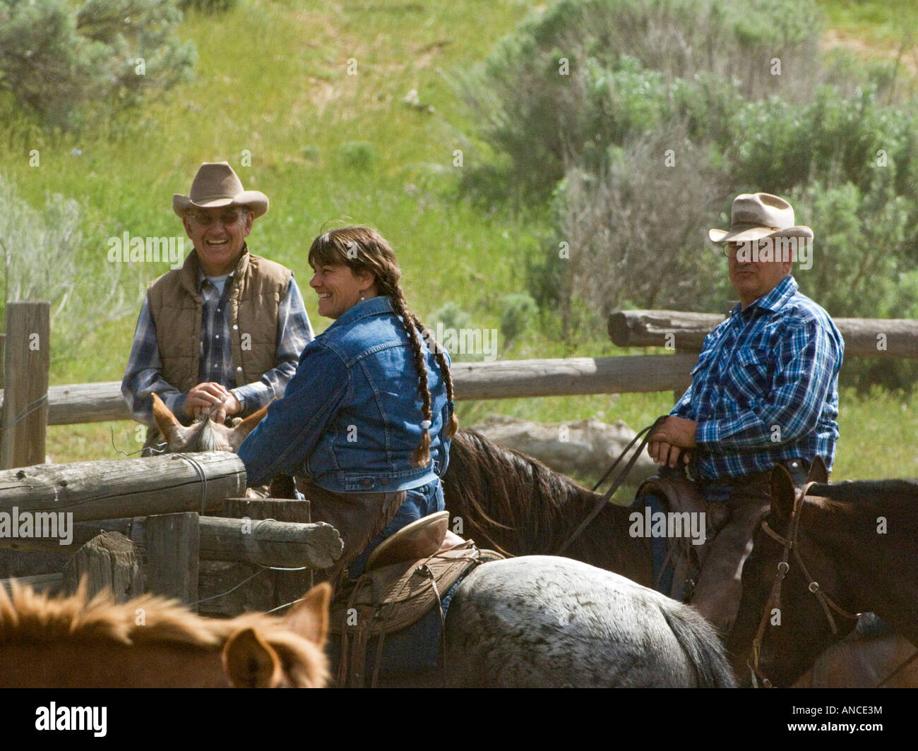 Cowhands Stock Photos & Cowhands Stock Images - Alamy