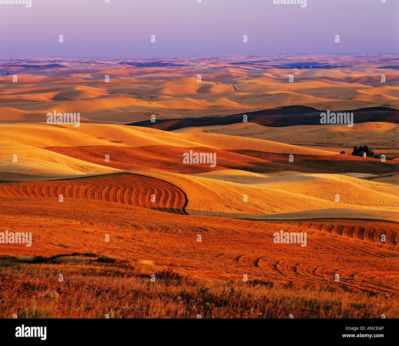 USA, Washington. View of colorful Palouse farm country at twilight ...