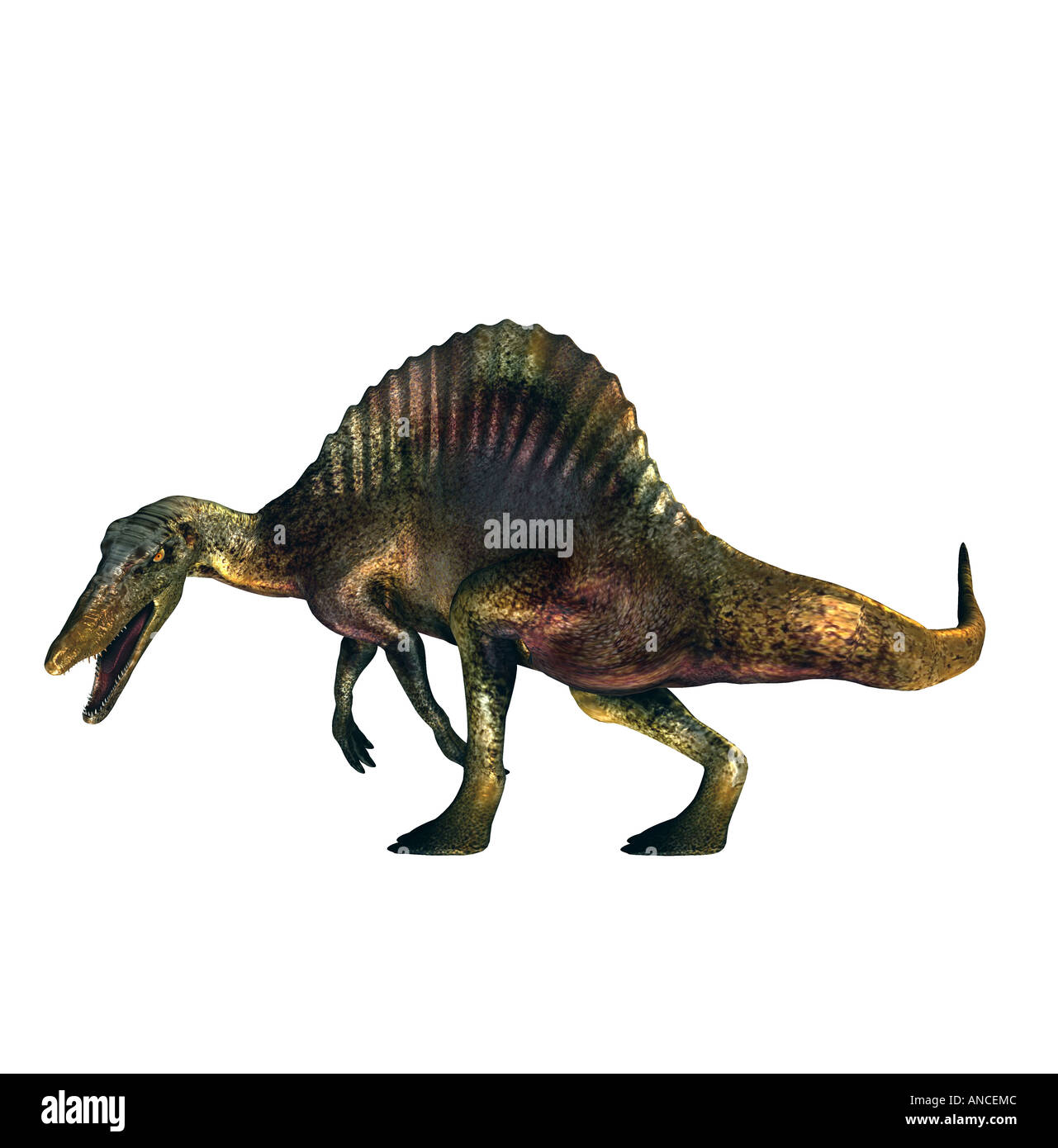 Dinosaur dinosaurs dino spinosaurus Cut Out Stock Images & Pictures - Alamy