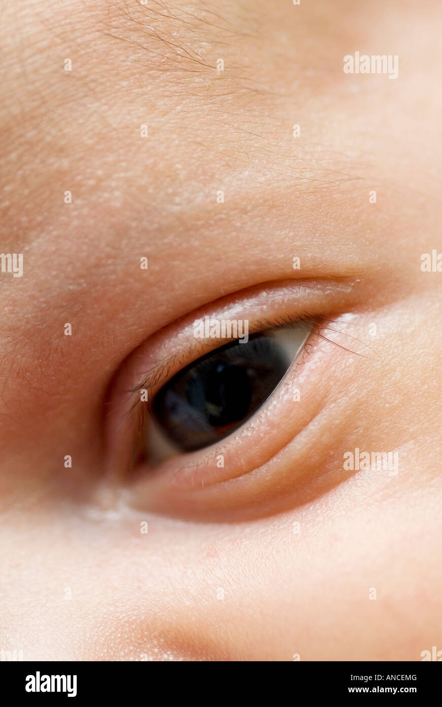 Newborn vision hi-res stock photography and images - Alamy
