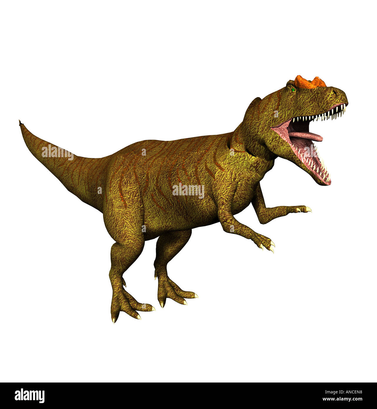 Allosaurus hi-res stock photography and images - Alamy