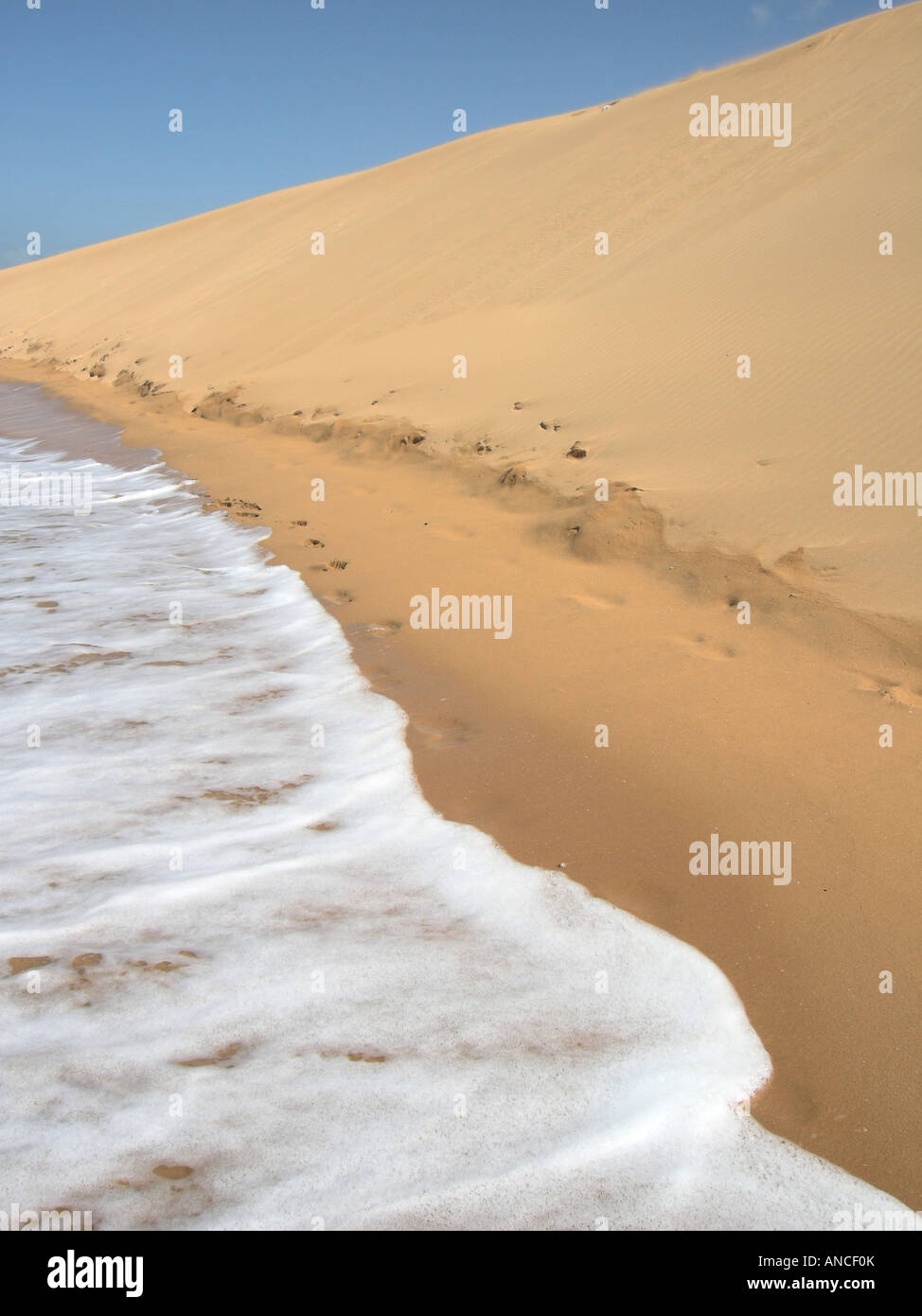 Sand dune beach, Peninsula de paraguana, falcon state, Venezuela Stock ...