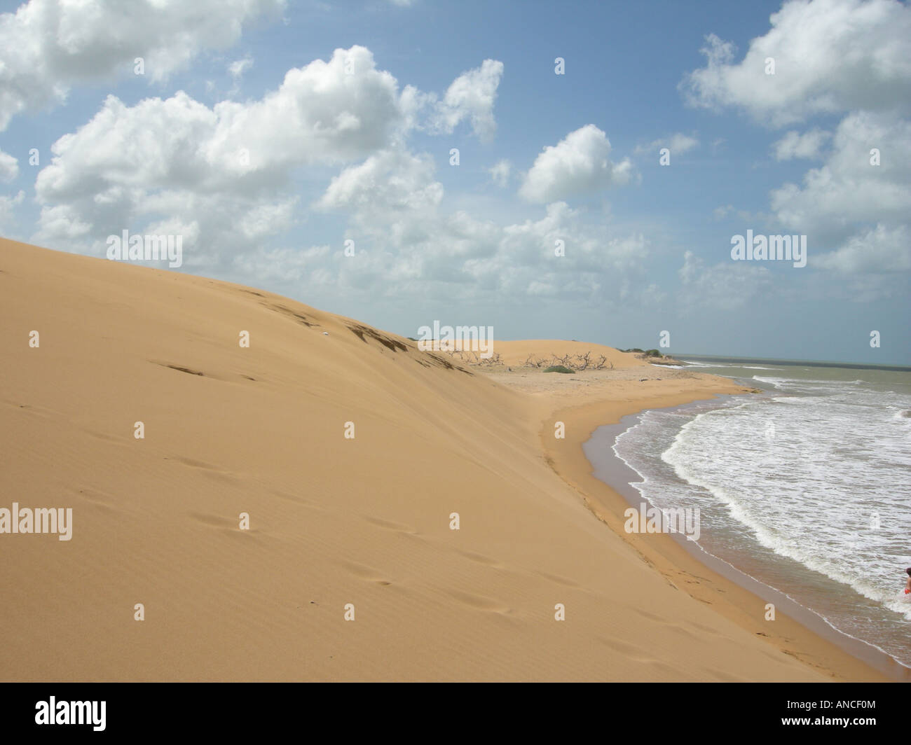 Sand dune beach, Peninsula de paraguana, falcon state, Venezuela Stock ...