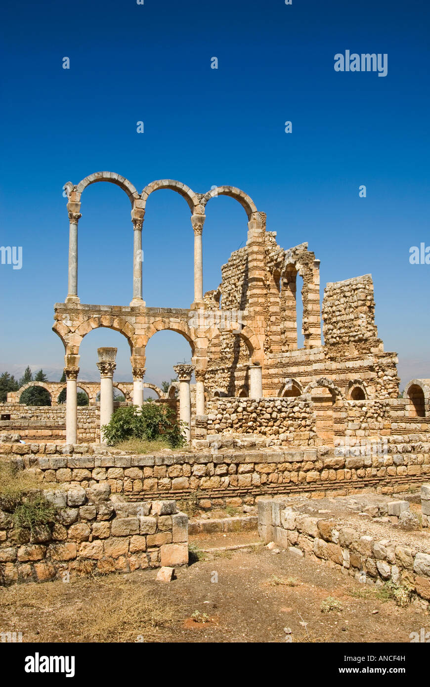 Arches and pillars in Anjar Castle Stock Photo - Alamy