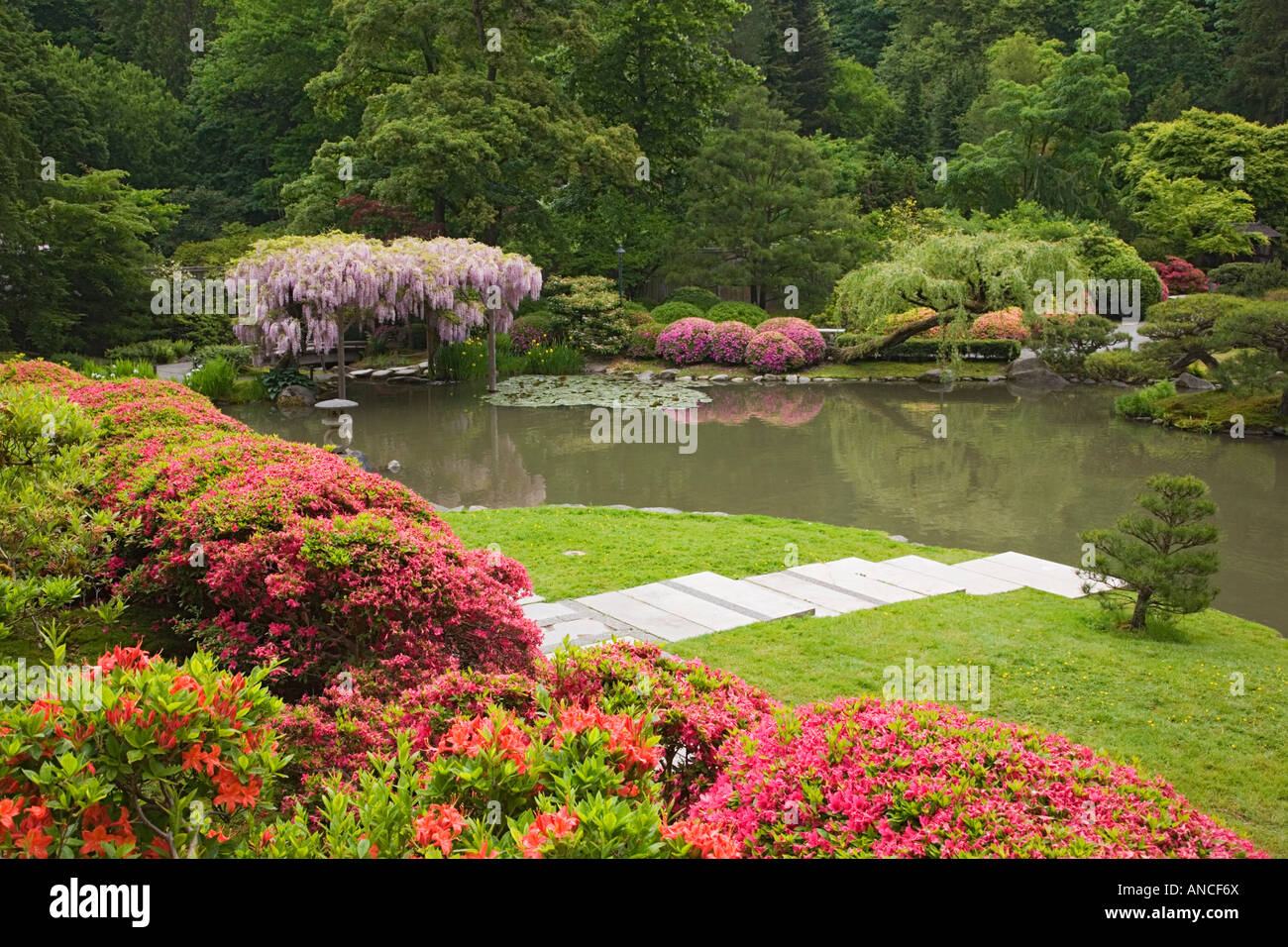 WA, Seattle, Washington Park Arboretum, flowers in bloom at the ...