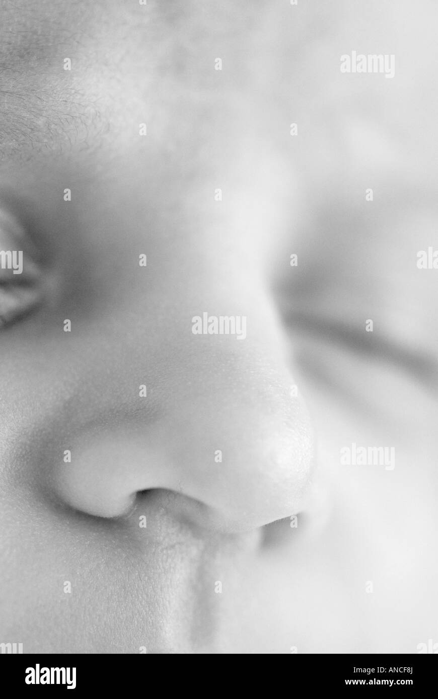 Anatomy of the nose pictures hi-res stock photography and images - Alamy