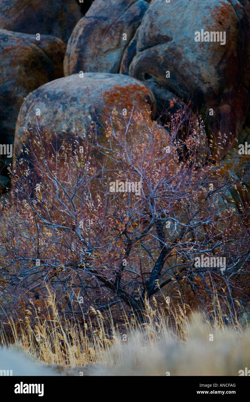 Rock formations in the Alabama Hills at Lone Pine CA USA Stock Photo ...