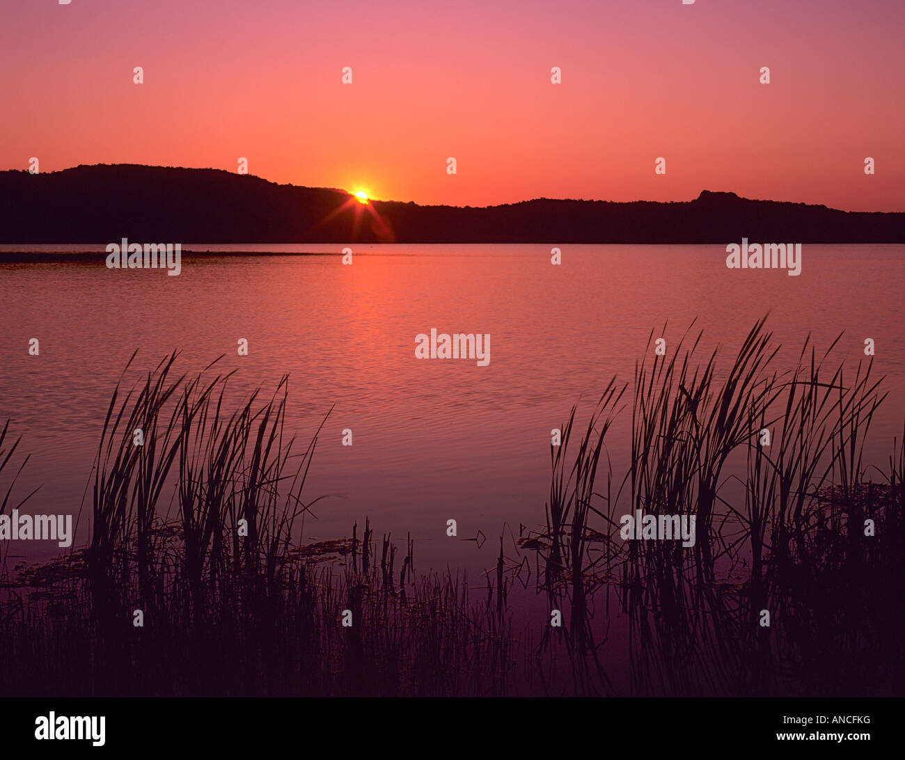 WA, Quincy Wildlife Area, Quincy Lake at sunset Stock Photo - Alamy