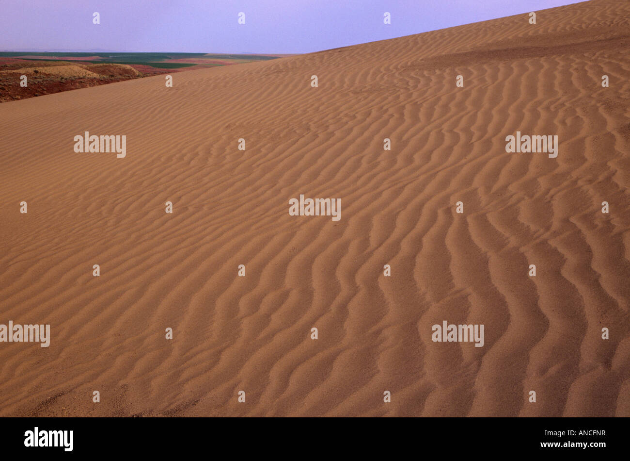 Juniper dunes wilderness hi-res stock photography and images - Alamy