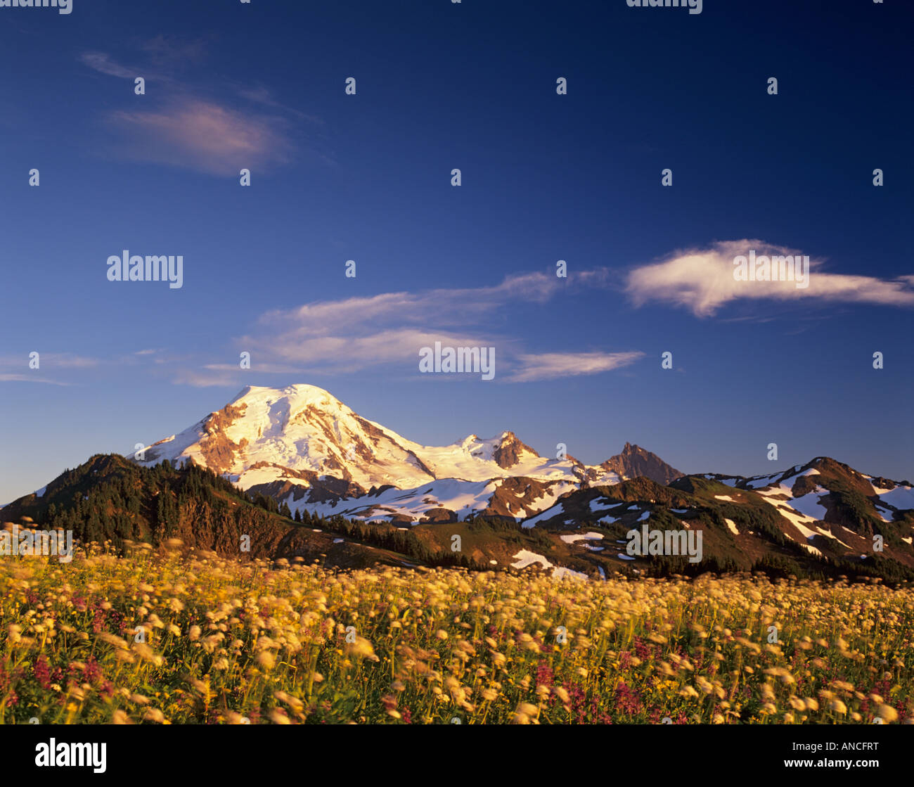 WA, Mount Baker Wilderness, Mount Baker, view from Skyline Divide Stock ...