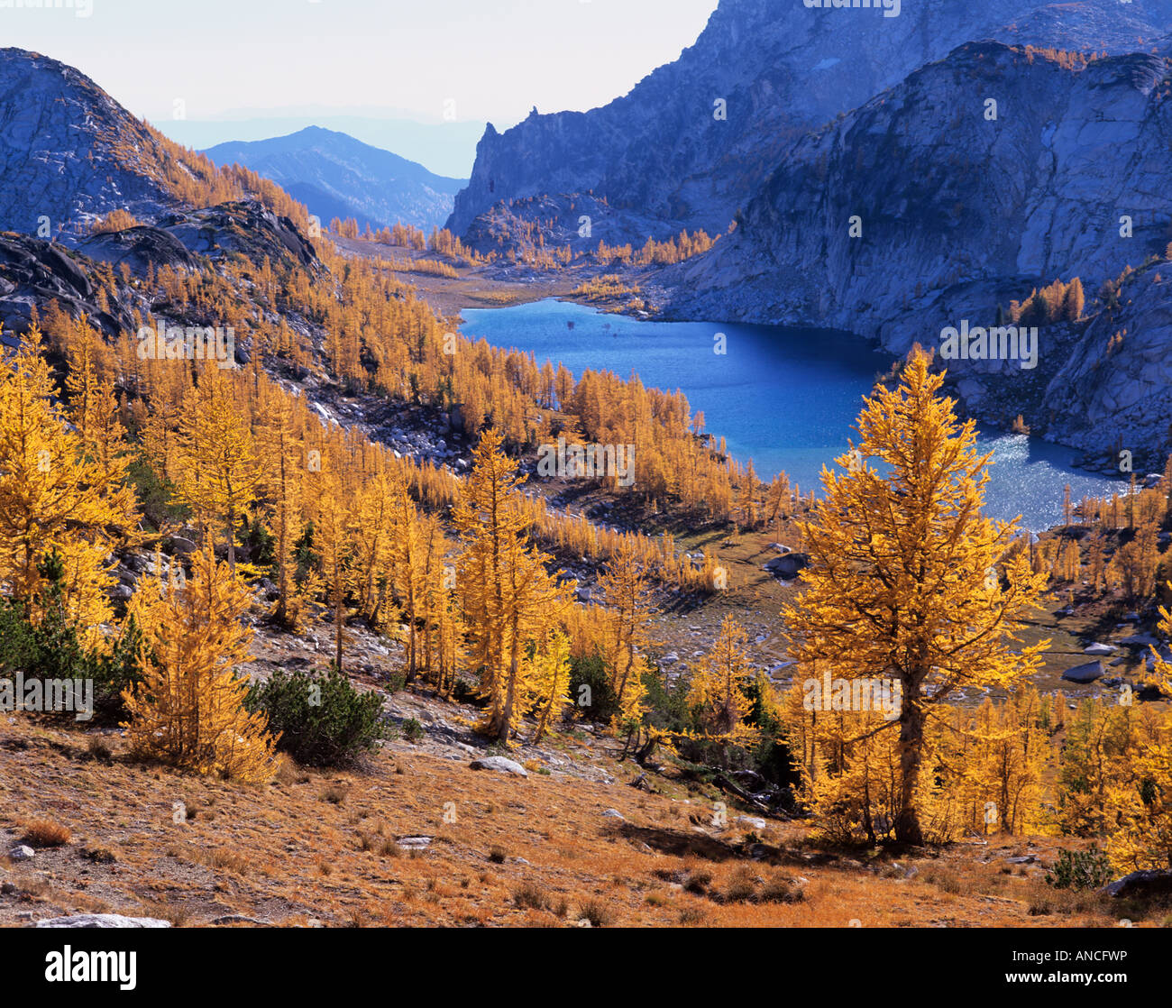 WA, Alpine Lakes Wilderness, Enchantment Lakes, Rune Lake, view from ...