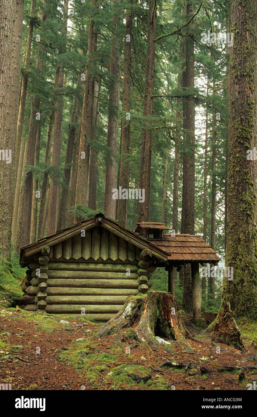 WA, Olympic NP, Sol Duc Valley, rainforest and Sol Duc shelter Stock ...