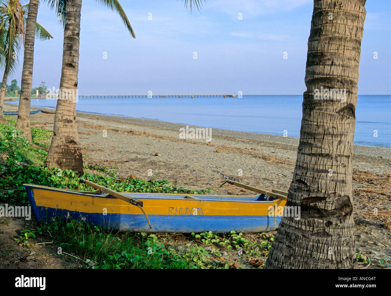 Timor leste tree hi-res stock photography and images - Alamy