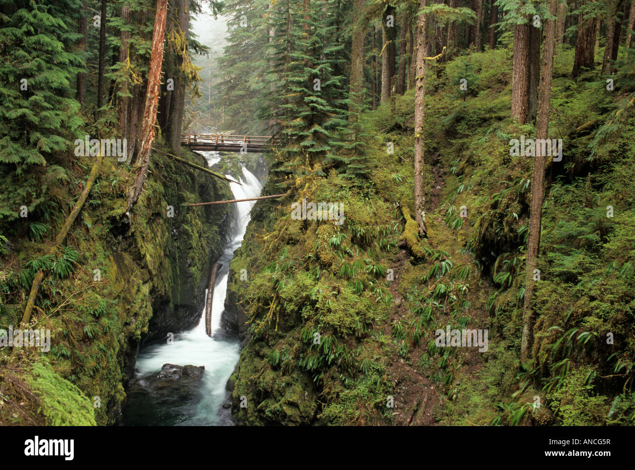 WA, Olympic NP, Sol Duc Falls with bridge over Sol Duc River Stock ...