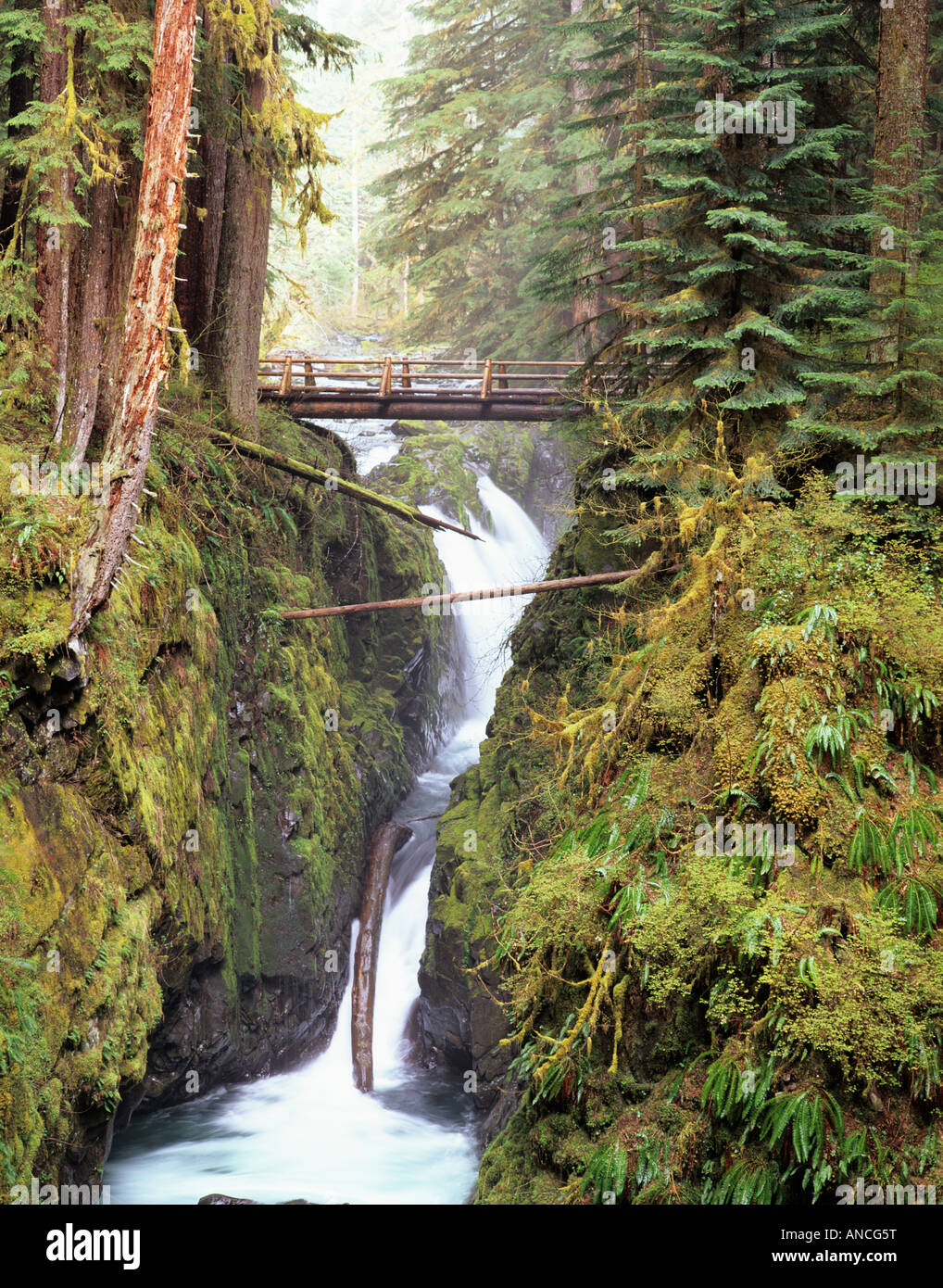 WA, Olympic NP, Sol Duc Falls with bridge over Sol Duc River Stock ...