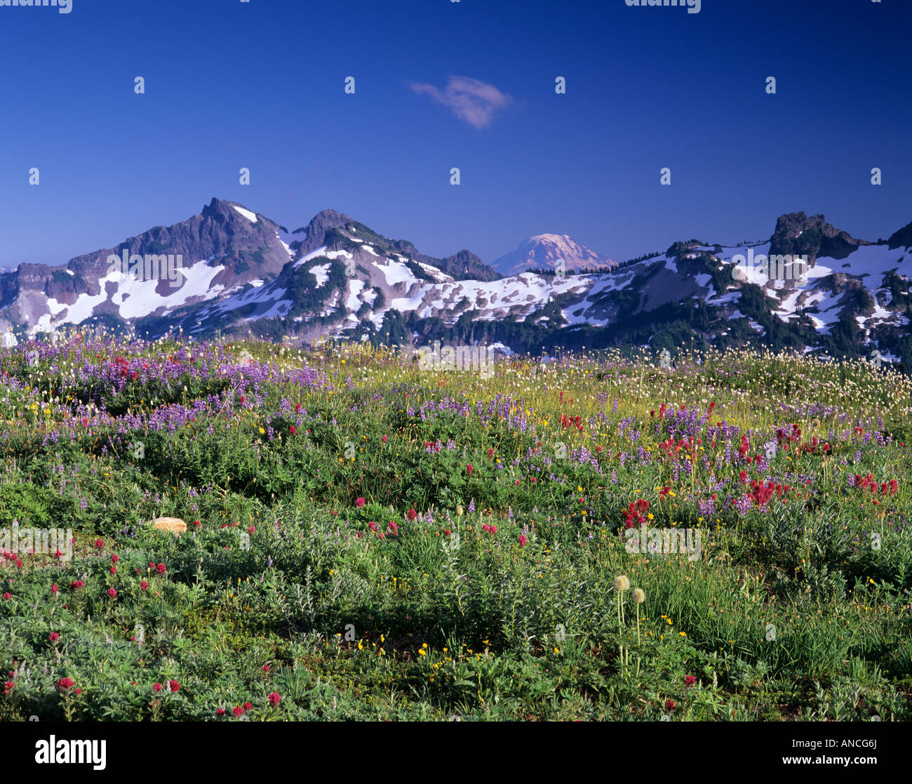 Tatoosh range from mt rainier hi-res stock photography and images - Alamy