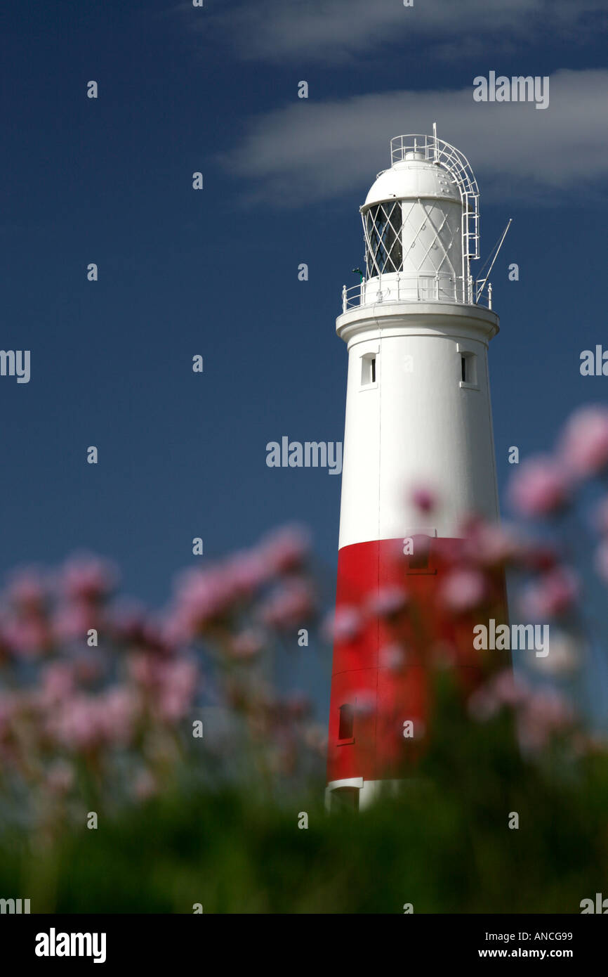Portland Bill lighthouse Dorset England UK Stock Photo - Alamy