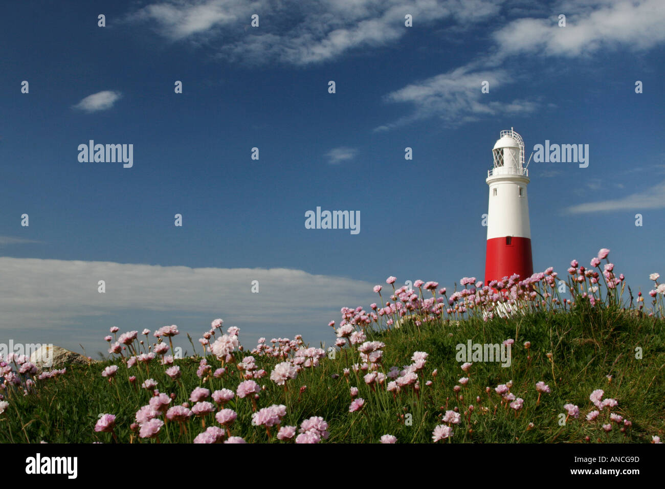 Portland Bill lighthouse Dorset England UK Stock Photo - Alamy