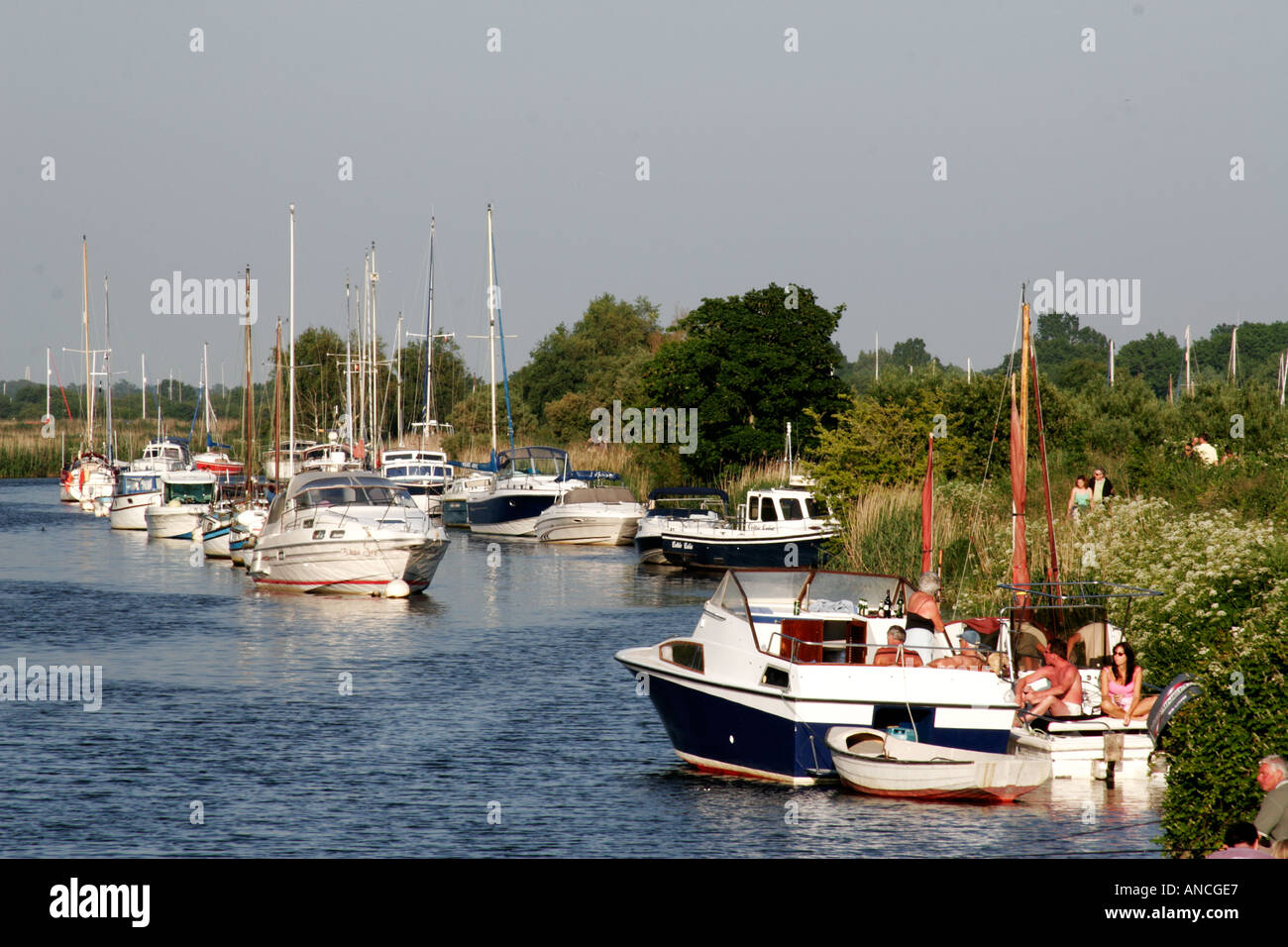 River Frome, Wareham, Dorset, England, UK Stock Photo - Alamy