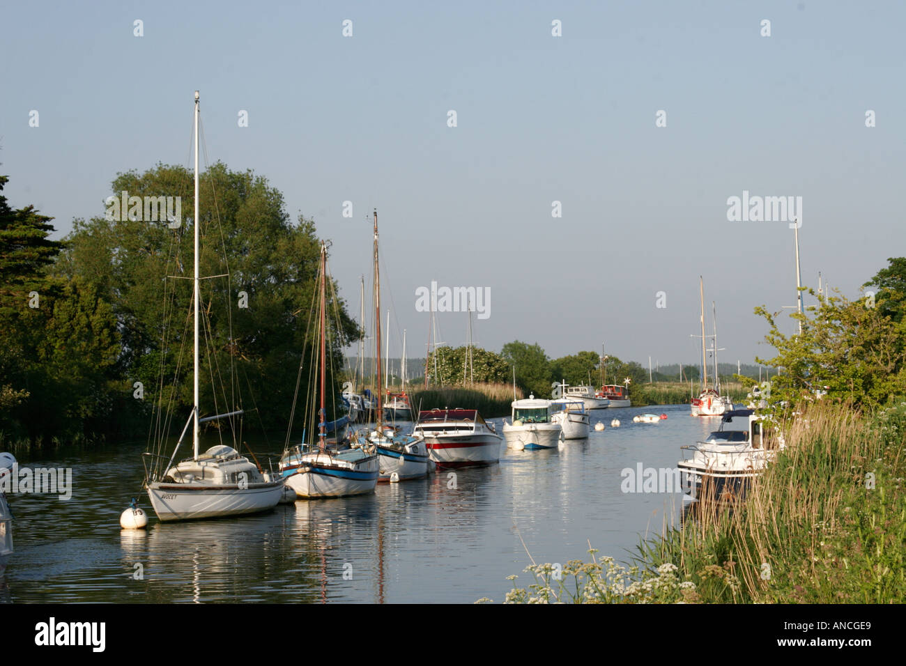 River Frome, Wareham, Dorset, England, UK Stock Photo - Alamy