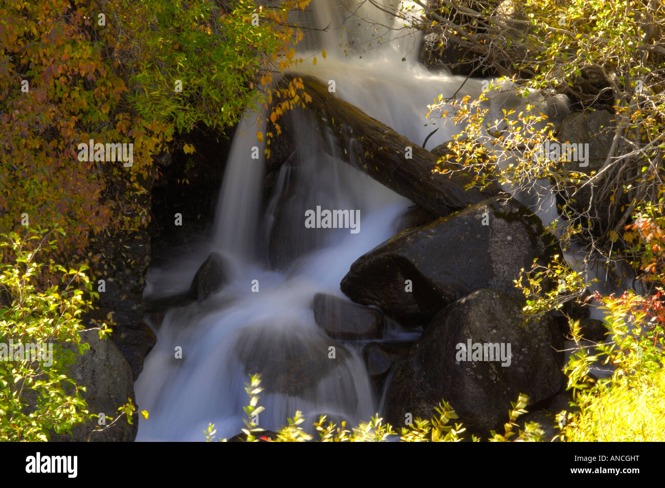 Fall or cascade hi-res stock photography and images - Alamy