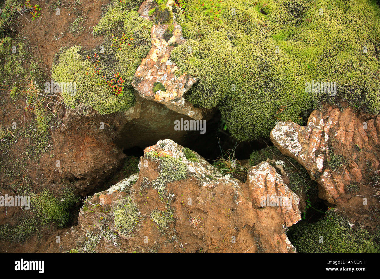 Earth split open hi-res stock photography and images - Alamy