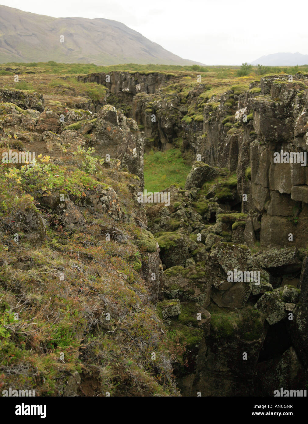 Iceland's fault line also known as the North Atlantic Ridge Stock Photo ...