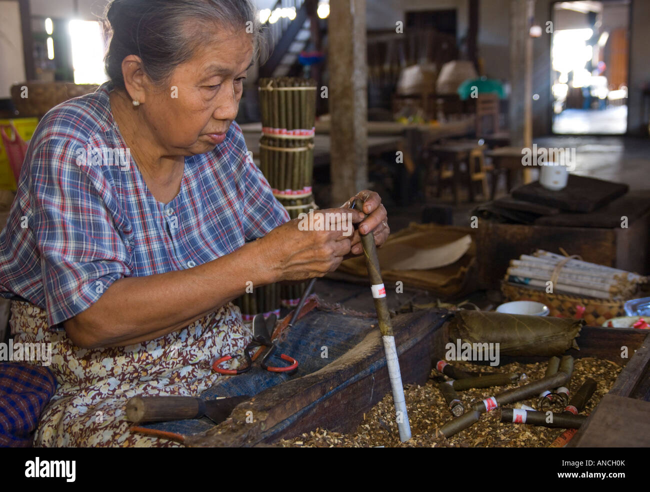 Myanmar Burma Northern Shan State Hsipaw cheroot factory Stock Photo ...