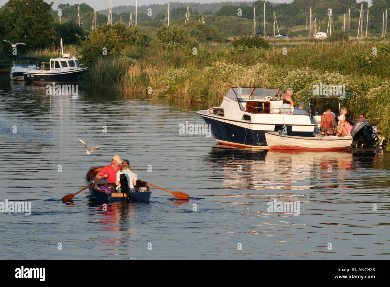 River Frome, Wareham, Dorset, England, UK Stock Photo - Alamy