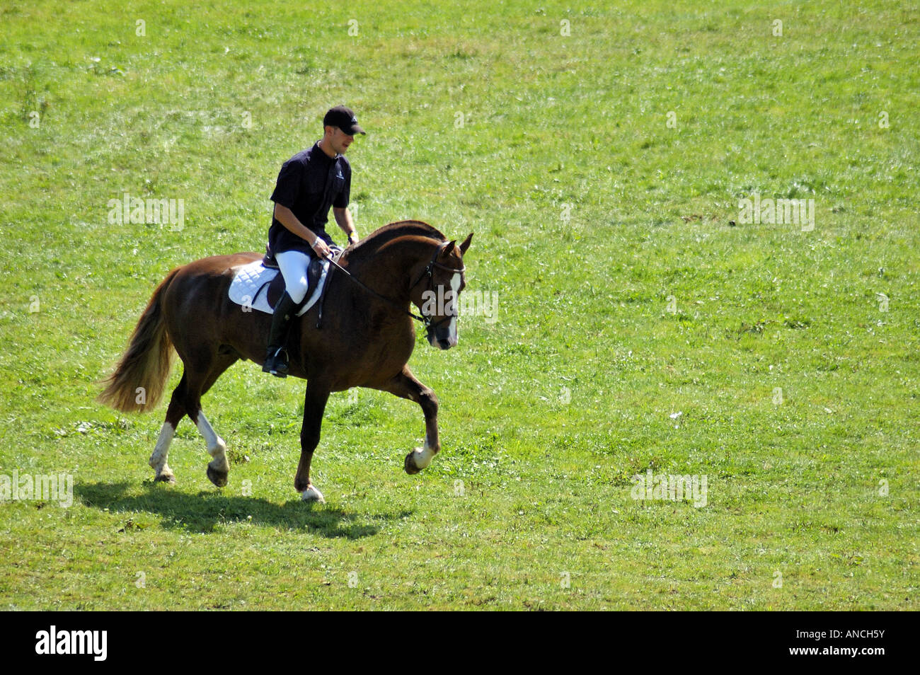 A horseman practicing dressage in a green field Stock Photo - Alamy