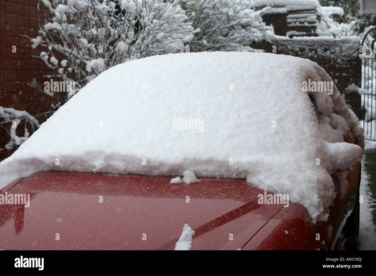 thick snow covering windscreen and roof of car after heavy snowfall in ...