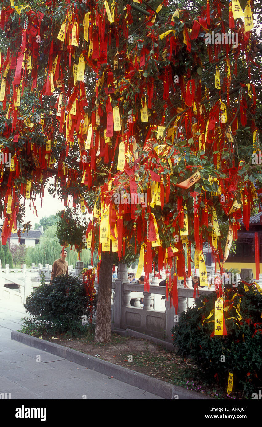Prayer ribbons in the trees at Quanfu Temple in Zhouzhuang Stock Photo ...